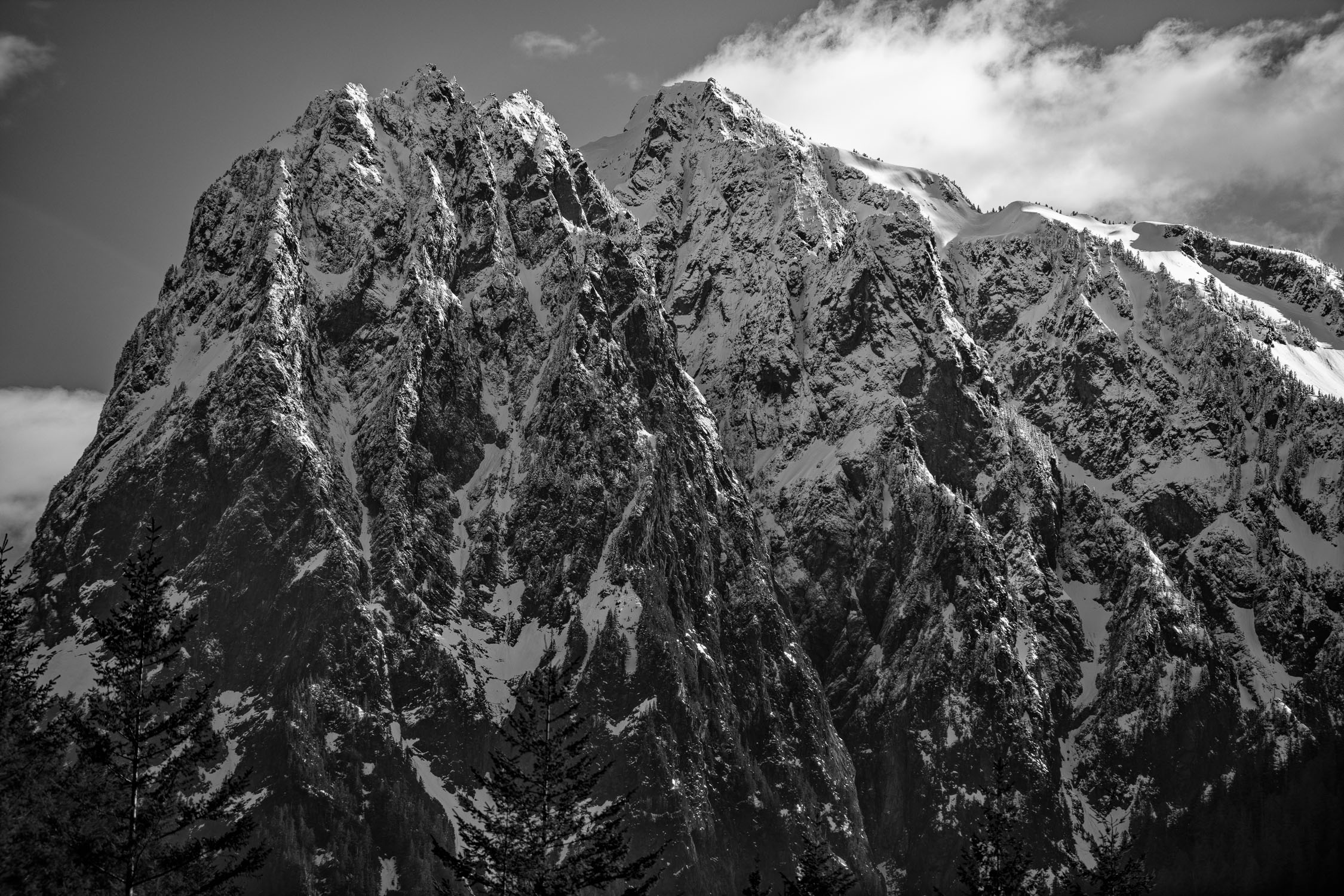 Nature – Andrew Flenniken Photography