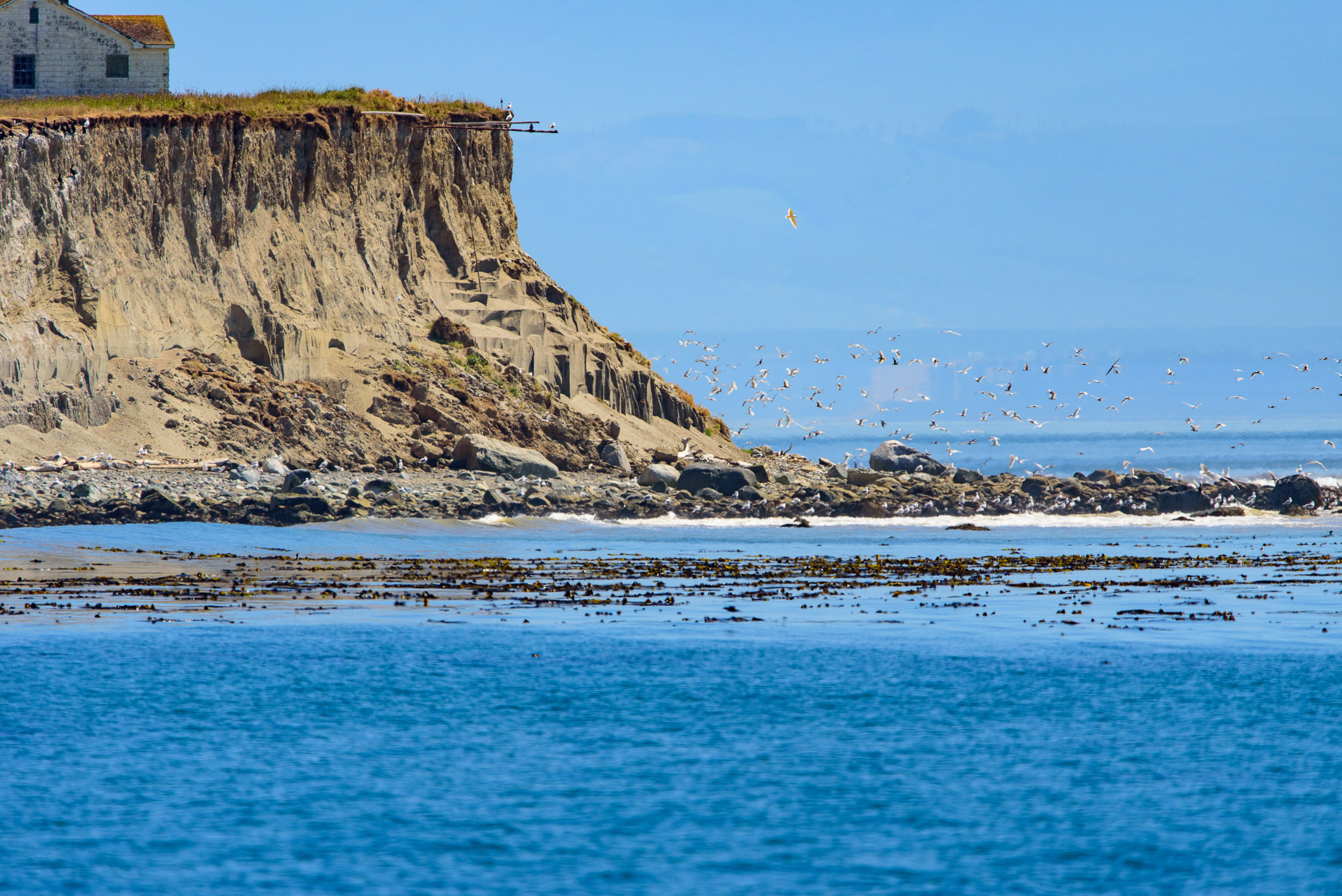 Nature – Andrew Flenniken Photography